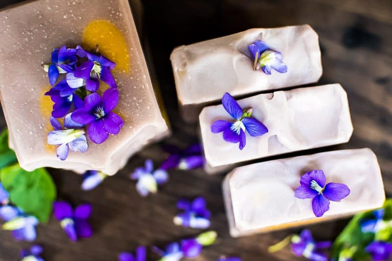 Wild Violet Soap for Spring: Homemade and Foraged
