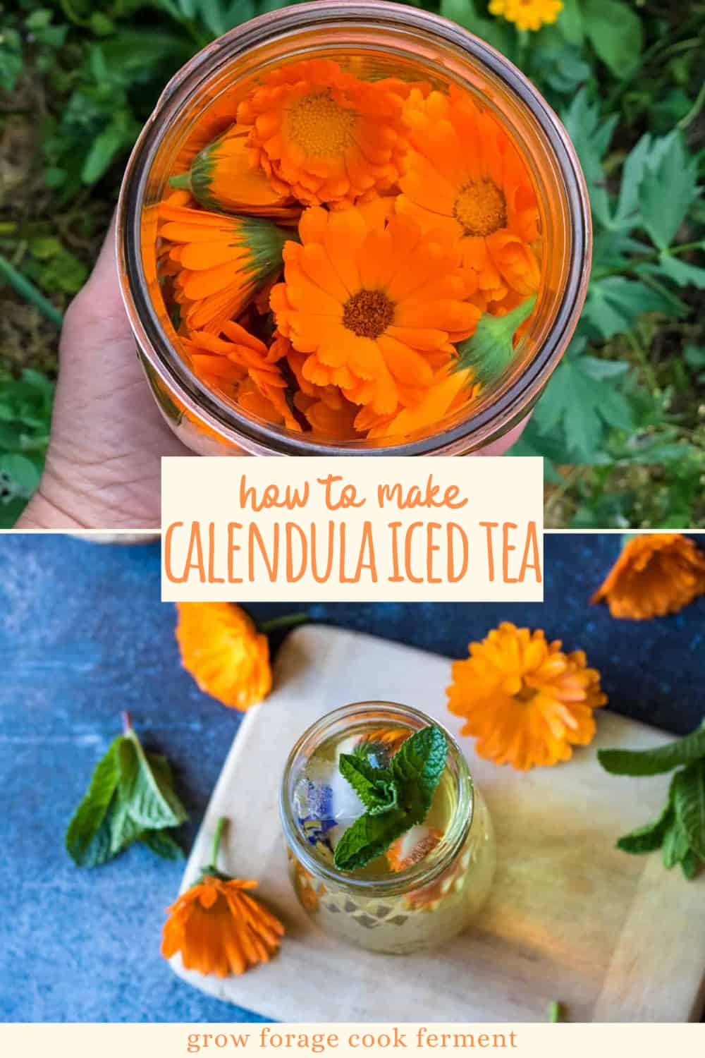 Calendula Iced Tea: Botanical & Refreshing