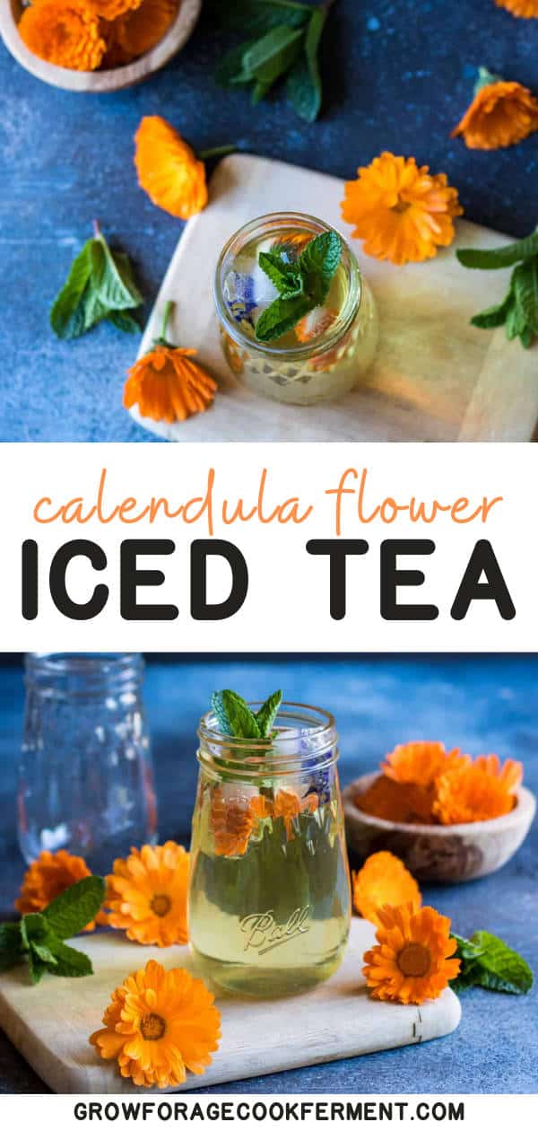 Calendula Iced Tea: Botanical & Refreshing