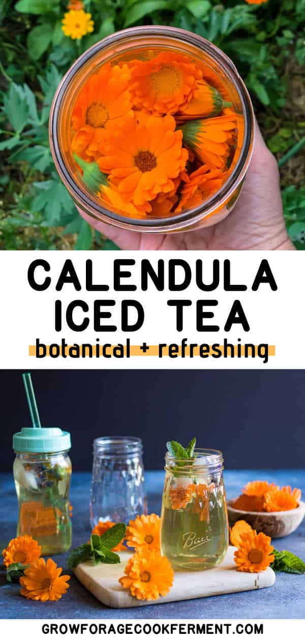 Calendula Iced Tea: Botanical & Refreshing