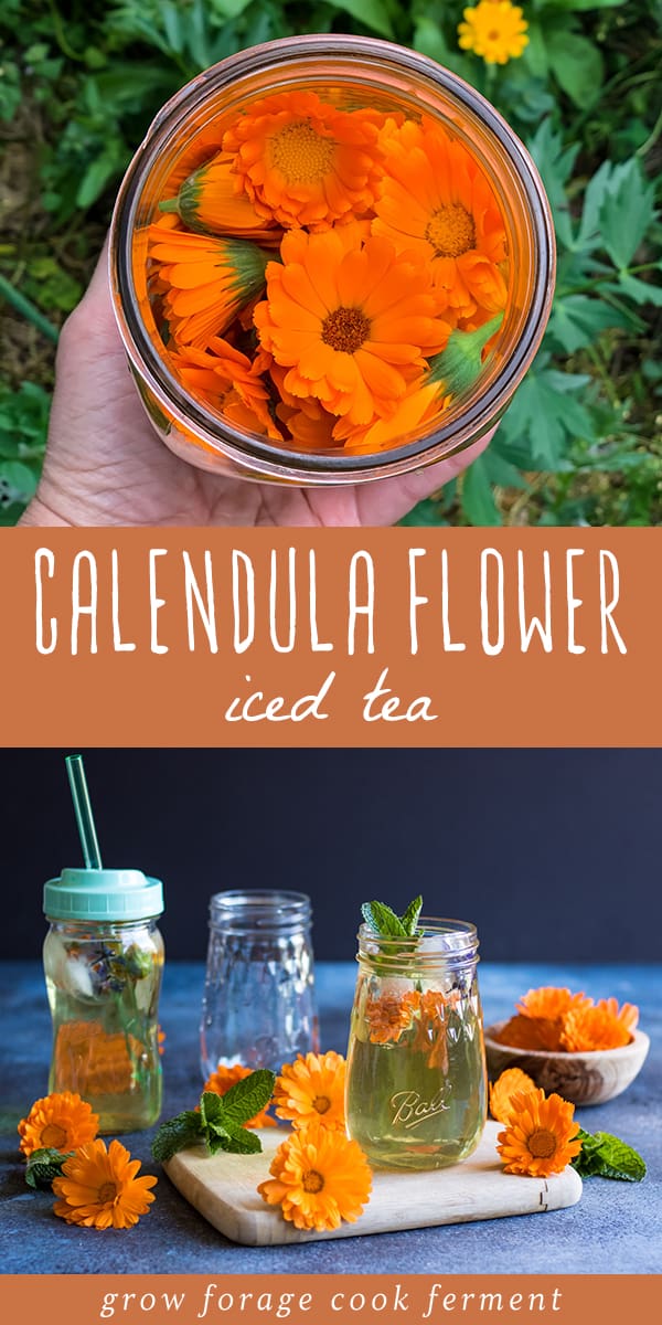 Calendula Iced Tea: Botanical & Refreshing