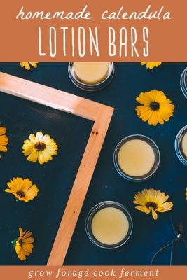 Calendula Lotion Bars for Dry Skin