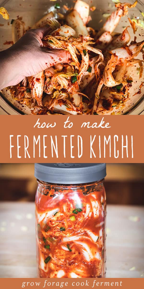 How to Make Kimchi