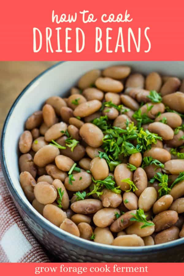 How to Cook Dried Beans: Easy, Healthy, and Cheap