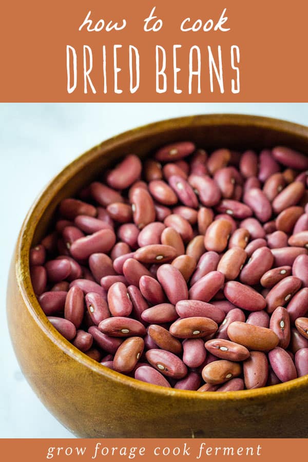 How to Cook Dried Beans: Easy, Healthy, and Cheap
