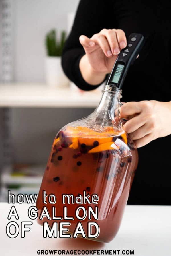 How to Make a Gallon of Mead: A Simple Mead Recipe