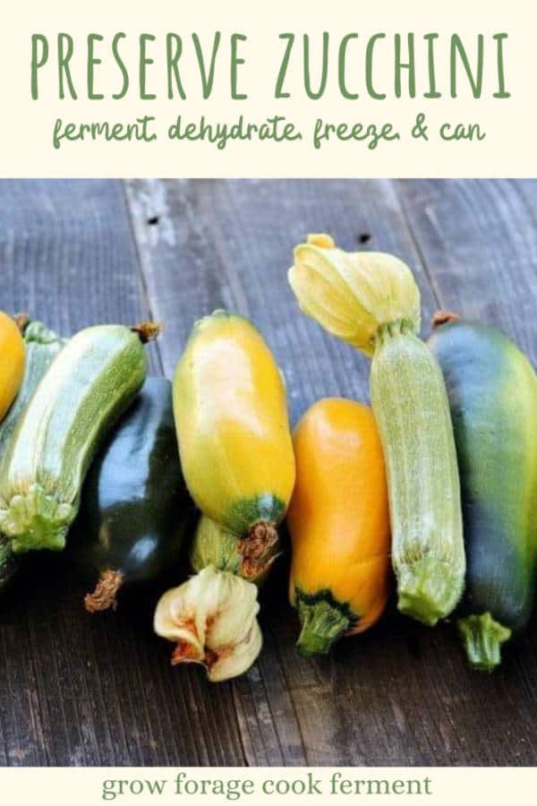 15+ Ways to Preserve Zucchini: Freeze, Can, Ferment, and Dehydrate