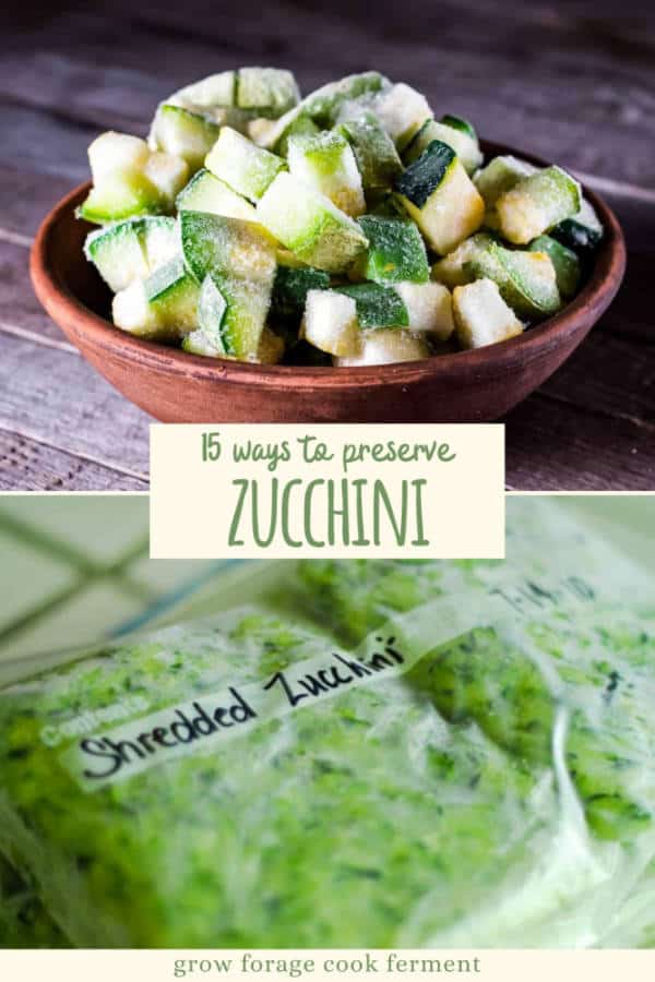 15+ Ways to Preserve Zucchini: Freeze, Can, Ferment, and Dehydrate