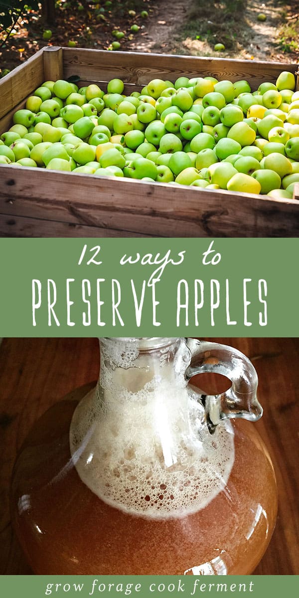 12 Ways to Preserve Apples: Canning, Freezing, Drying + More!