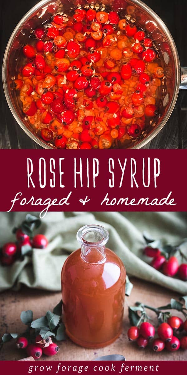 Rose Hip Syrup: Foraged and Made with Honey