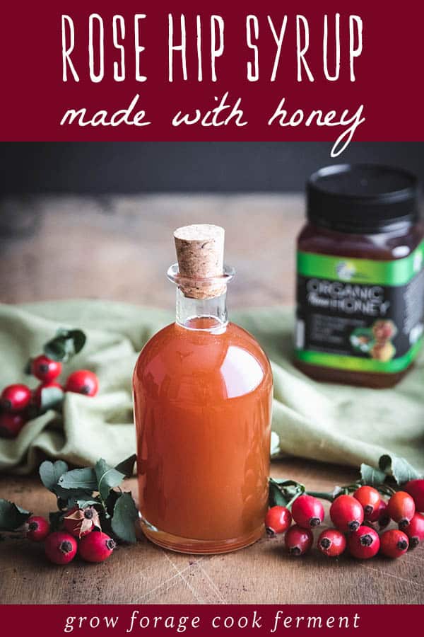 Rose Hip Syrup: Foraged and Made with Honey