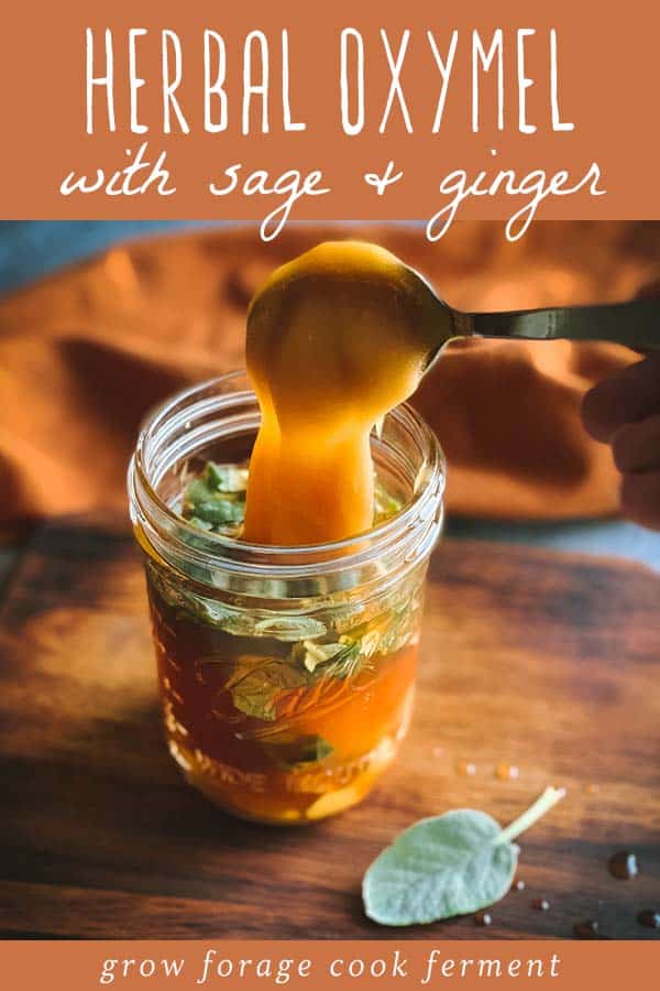 Herbal Oxymel Recipe with Sage and Ginger