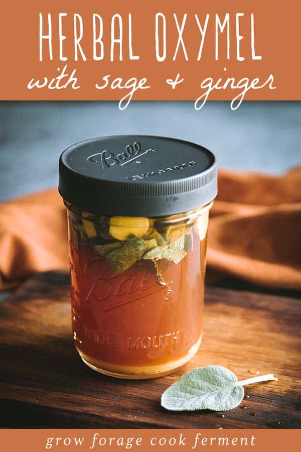 Herbal Oxymel Recipe with Sage and Ginger