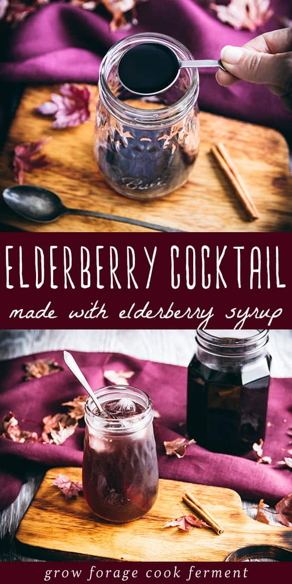 Elderberry Cocktail: Made with Elderberry Syrup