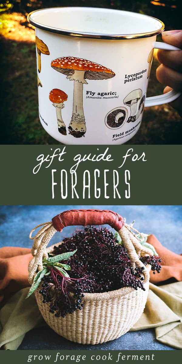 Gift Guide for Foragers and Wildcrafters