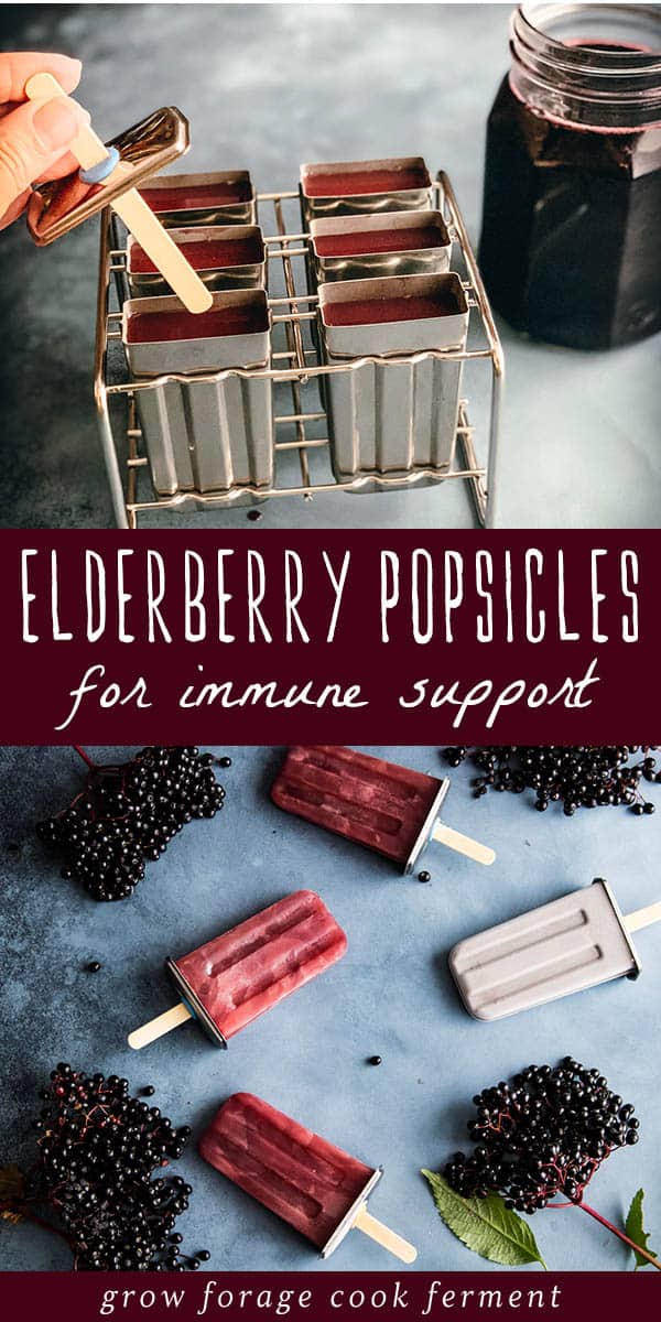 Elderberry Popsicles for Herbal Support
