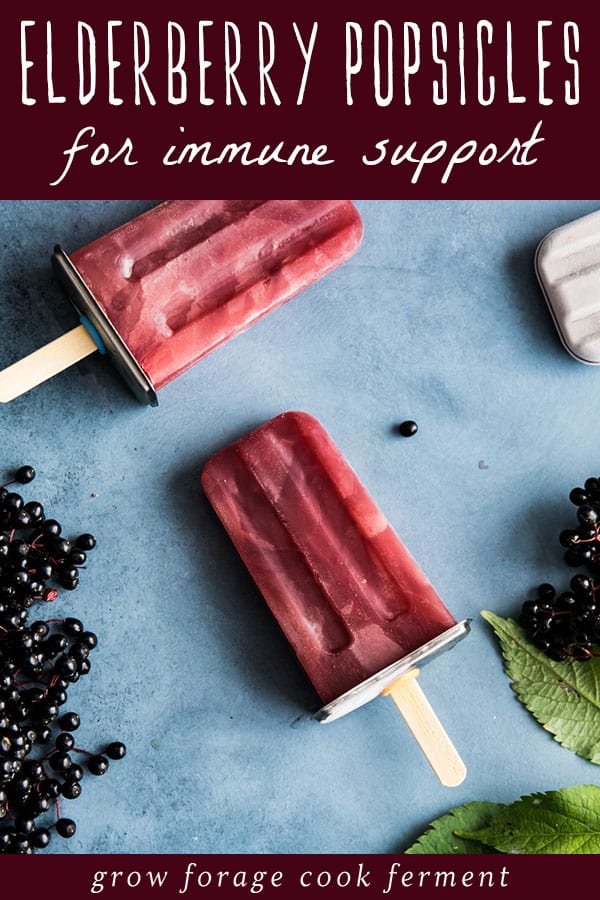 Elderberry Popsicles for Herbal Support