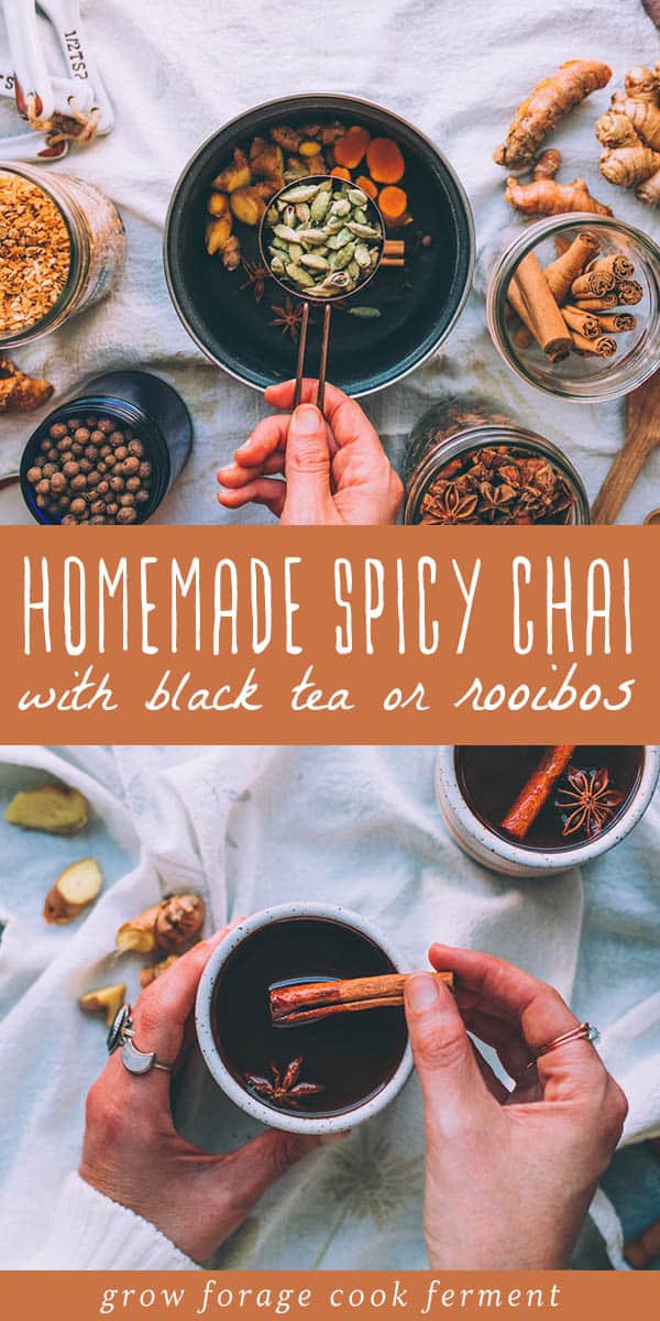 Homemade Spicy Chai with Black Tea or Rooibos
