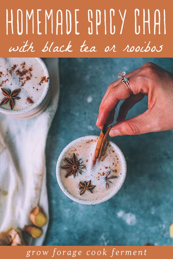Homemade Spicy Chai with Black Tea or Rooibos