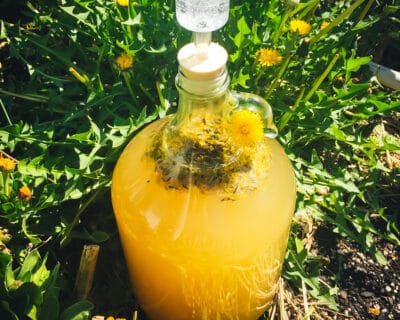 15 Easy Mead Recipes for Beginners