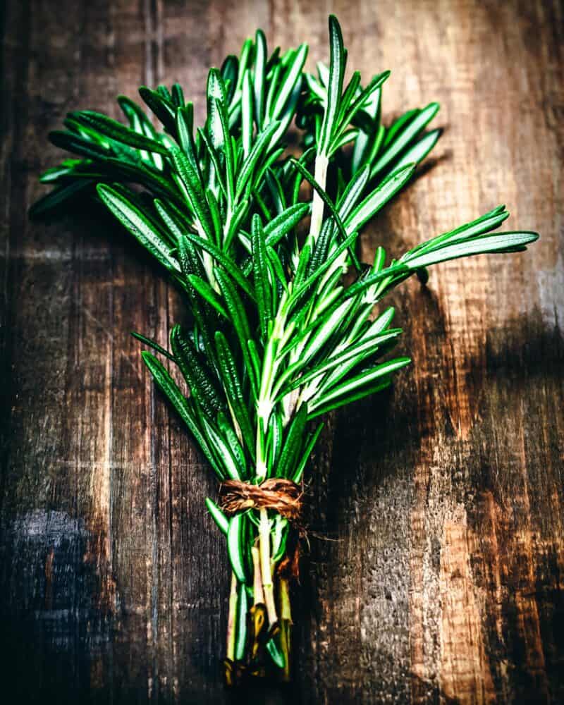 10 Reasons to Grow Rosemary for your Garden, Food and Health