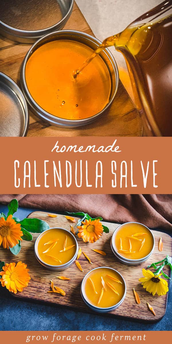 Calendula Salve: Homemade Recipe for Natural Skin Care