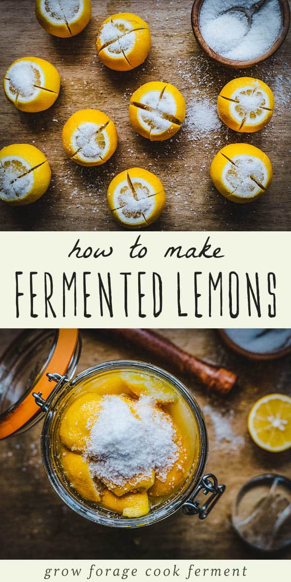 Fermented Lemons: How to Preserve Lemons with Salt