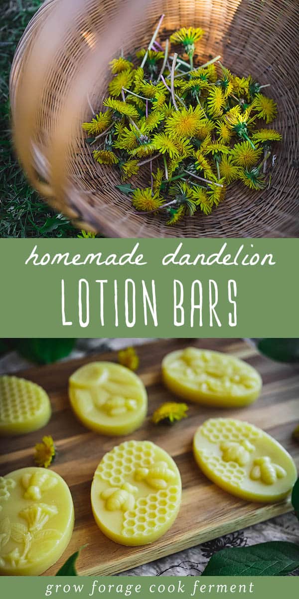 Dandelion Lotion Bars: Homemade Skin Soothing Recipe