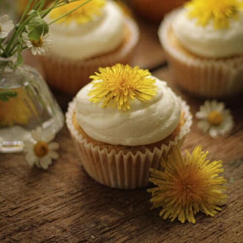 50+ Dandelion Recipes: Drinks, Sweets, Soap, Remedies + More!