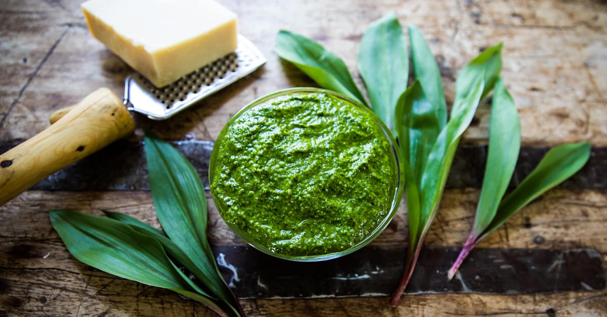 Ramp Pesto: Foraged Recipe for Spring