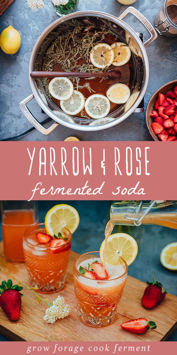 Homemade Soda with Yarrow, Rose and Strawberries