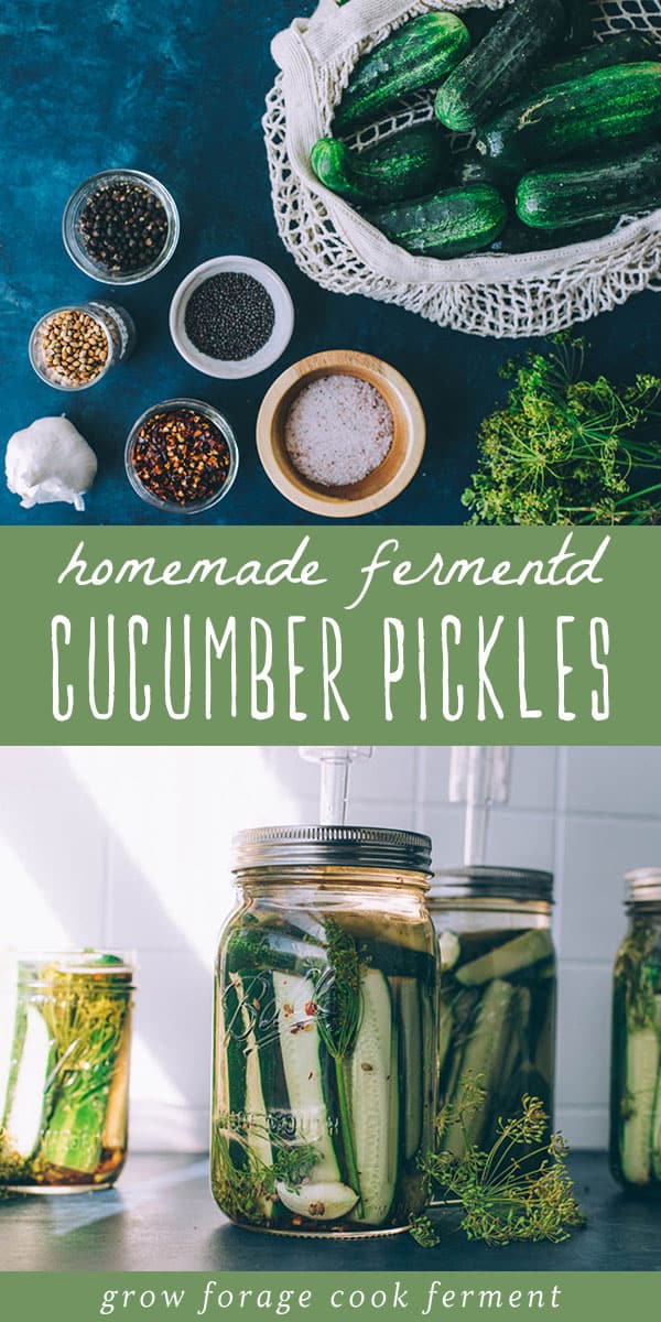 Homemade Fermented Cucumber Dill Pickles