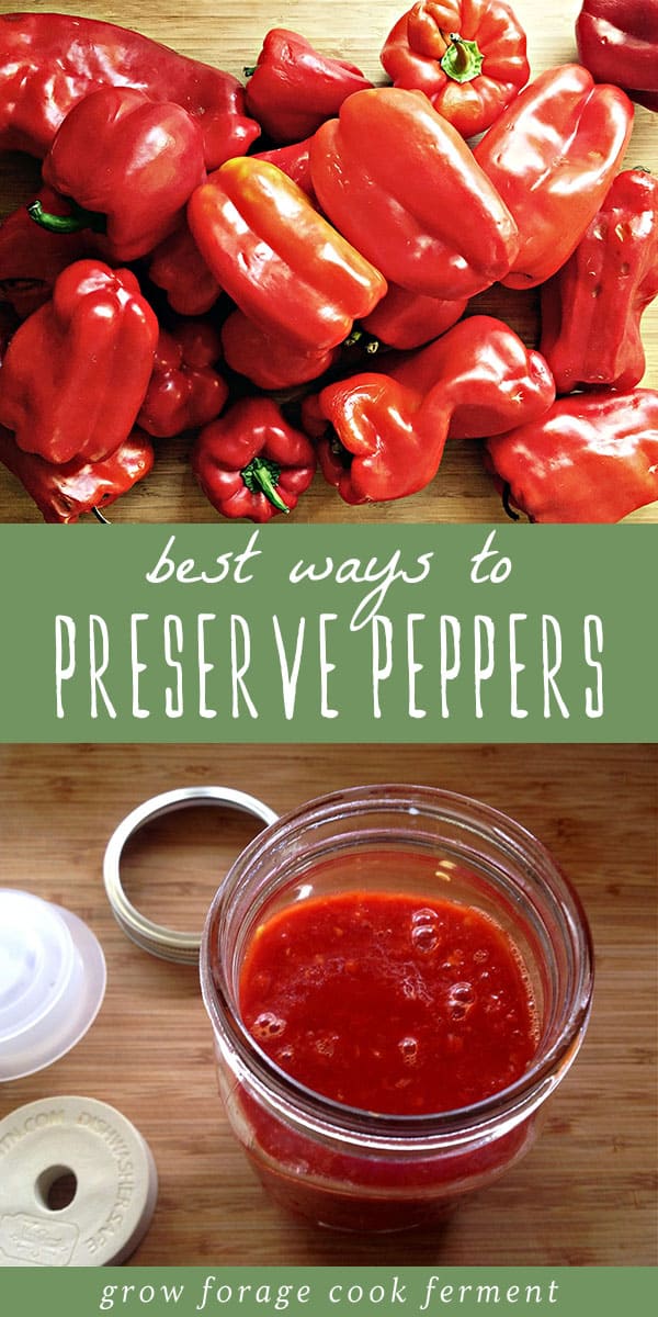 15+ Ways to Preserve Peppers: Freeze, Can, Dry, Ferment & More!