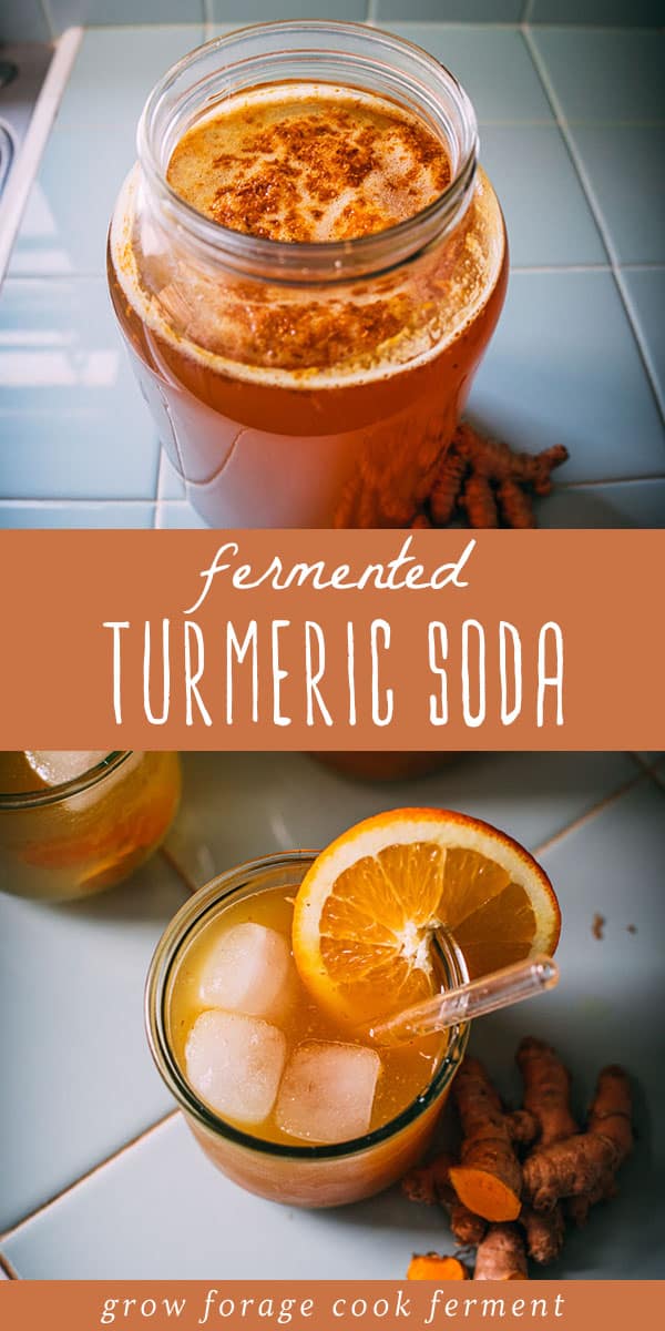 Naturally Fermented Turmeric Soda