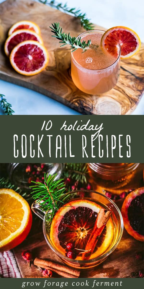 10 Holiday Cocktail Recipes: Herbal Cocktails for Winter