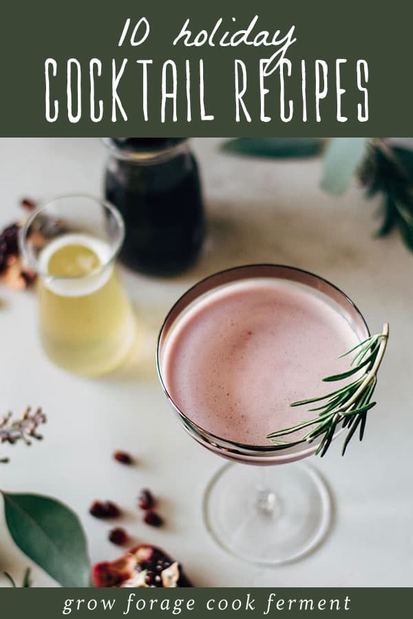10 Holiday Cocktail Recipes: Herbal Cocktails for Winter