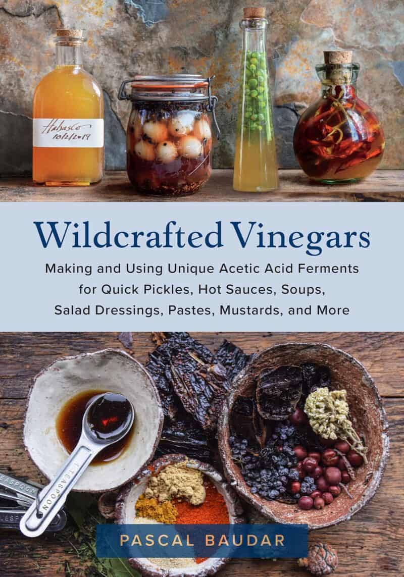 Mountain Vinegar: Foraged Infused Vinegar Recipe