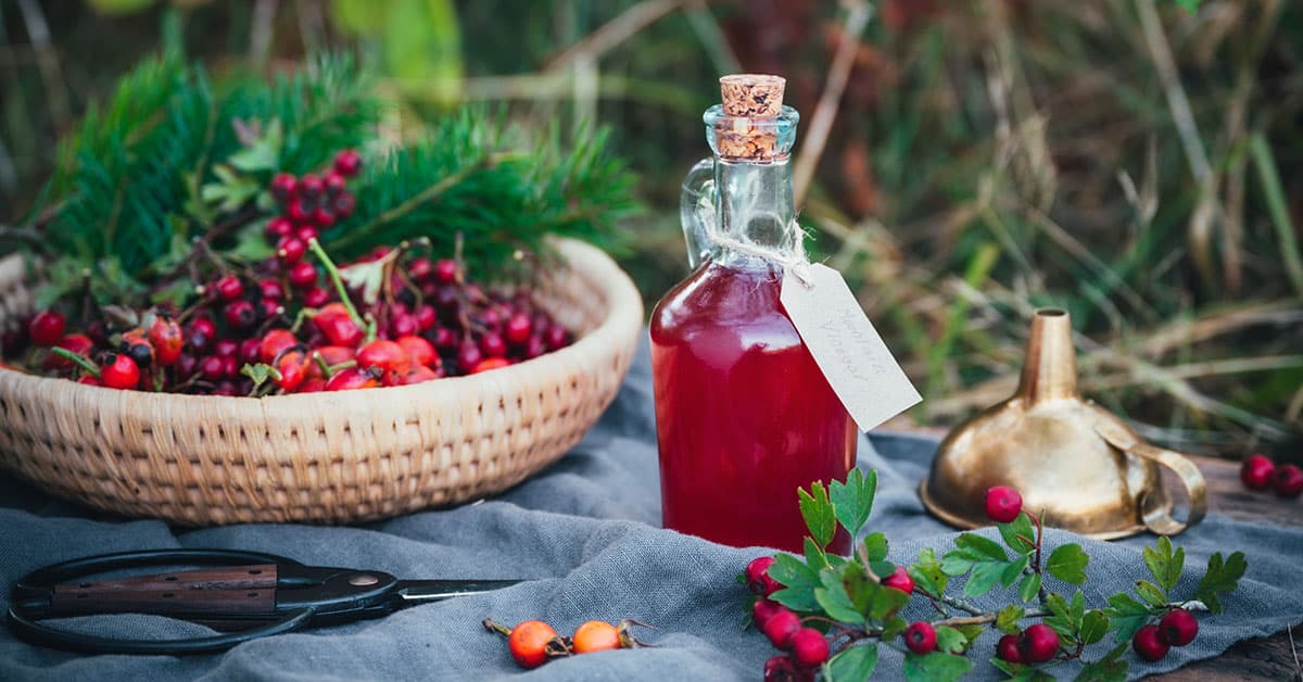 Mountain Vinegar: Foraged Infused Vinegar Recipe