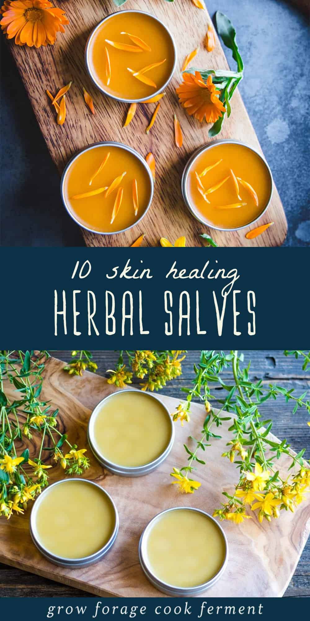 10 Herbal Salve Recipes for Natural Skin Care