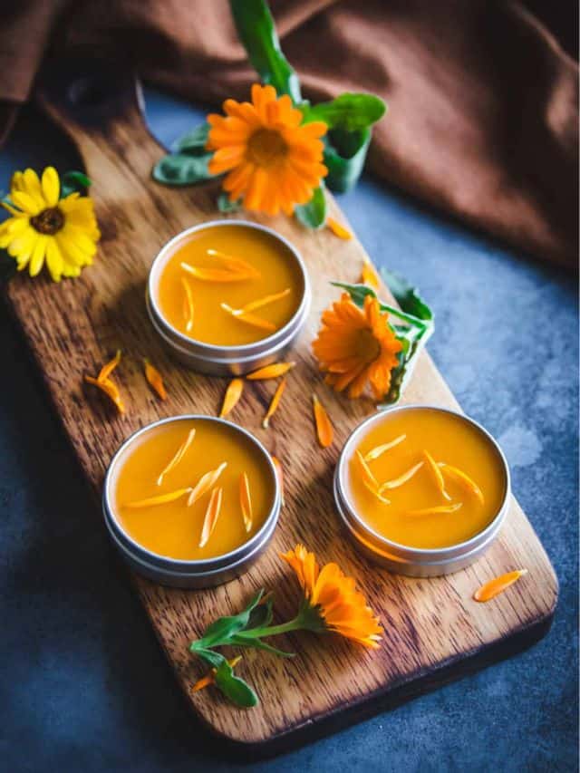 5 Herbal Salve Recipes for Your Natural Skin Care Routine - Grow Forage ...