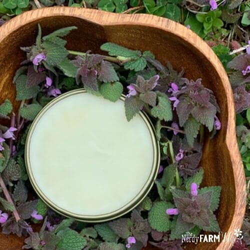 10 Herbal Salve Recipes for Natural Skin Care