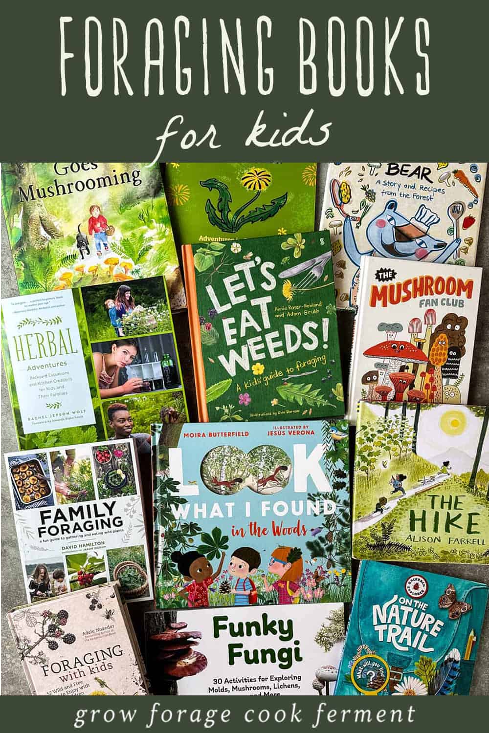 Best Foraging Books For Kids