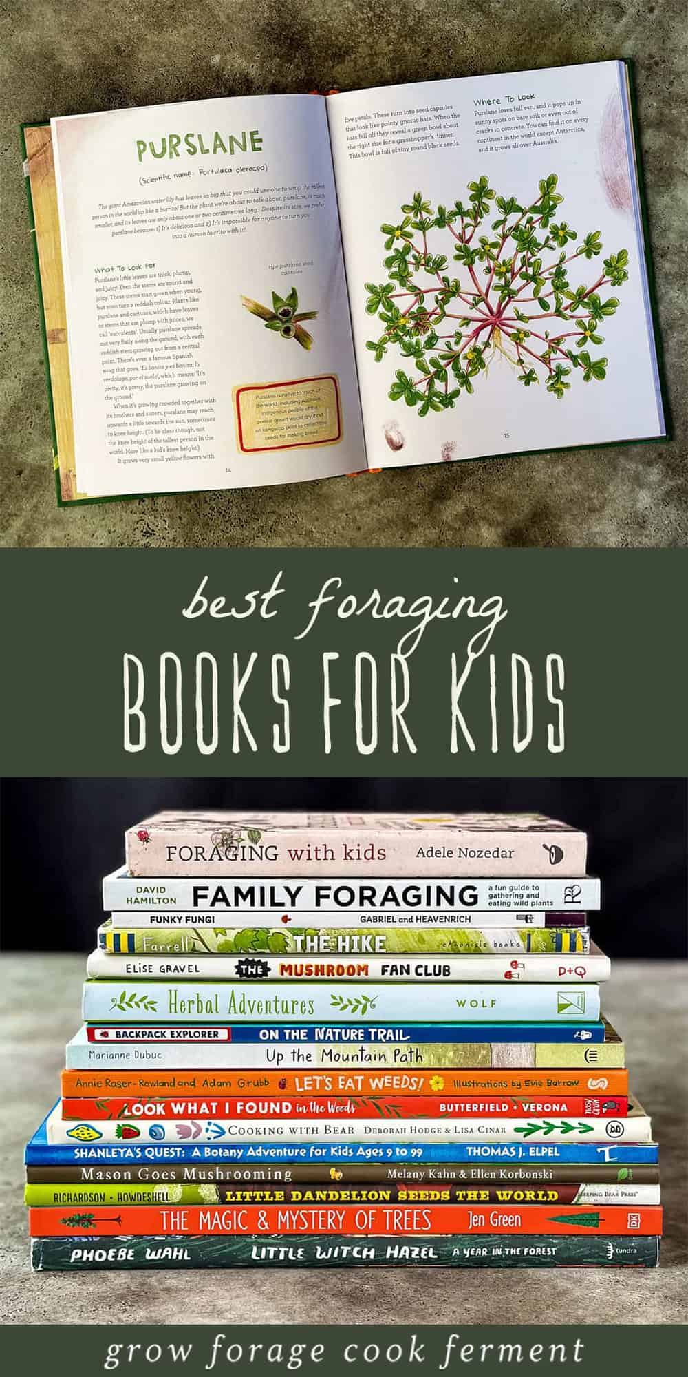 Best Foraging Books For Kids