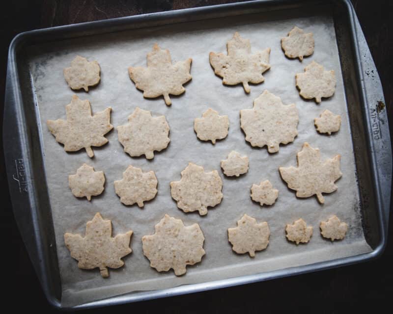 Maple Leaf Cookies with Maple Icing