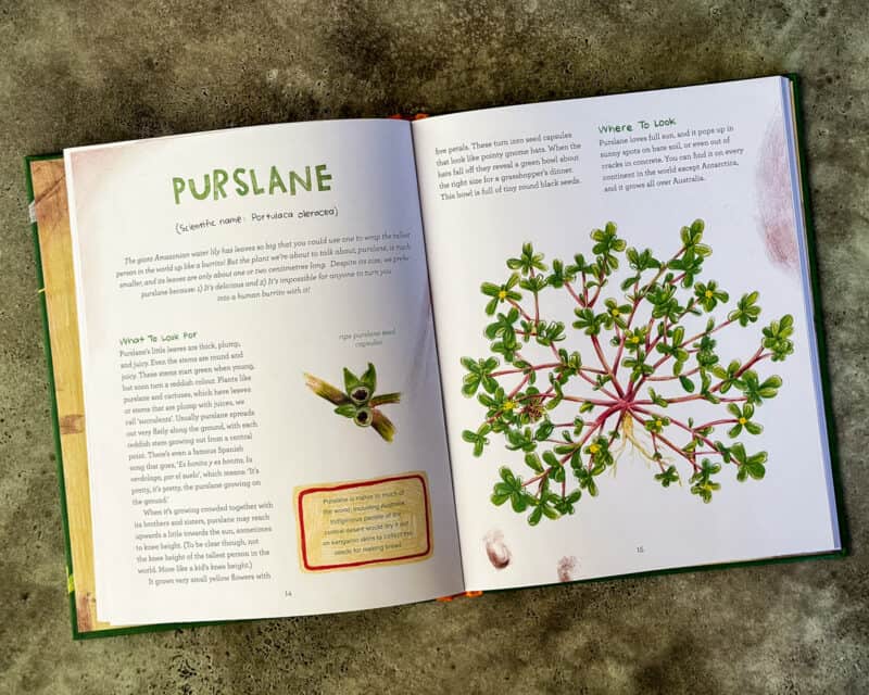 Best Foraging Books For Kids