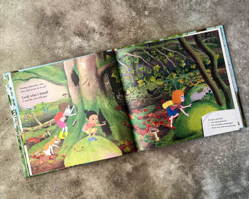 Best Foraging Books For Kids