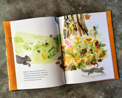Best Foraging Books For Kids