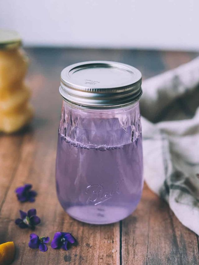 Wild Violet Syrup Recipe for Spring Cocktails - Grow Forage Cook Ferment