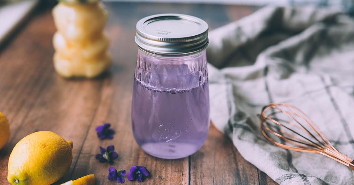 Wild Violet Syrup: Spring Foraging Recipe