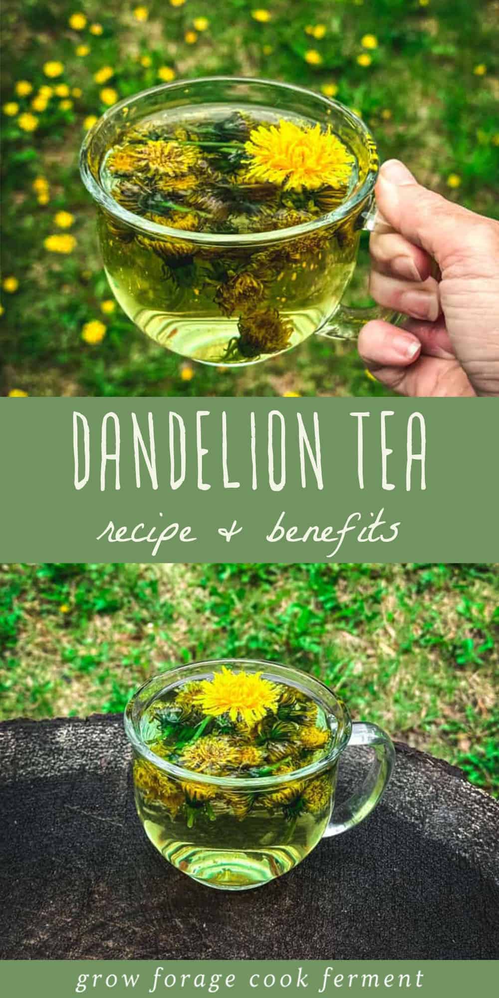 How To Make Dandelion Tea 6530
